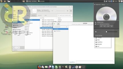 معرفی سیستم عامل های برتر Raspberry Pi (بخش دوم) - دانشنامه ردرونیک